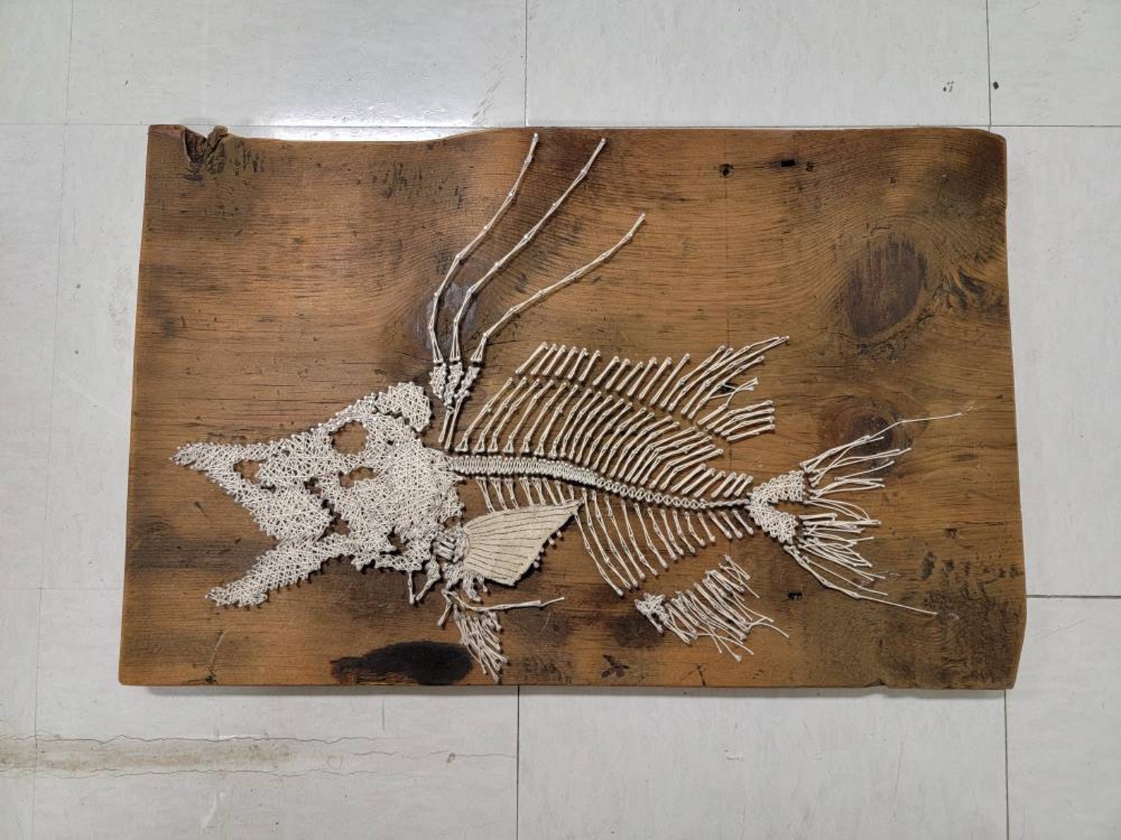 Fish Skeleton String Art Nautical Fishing Theme - Etsy