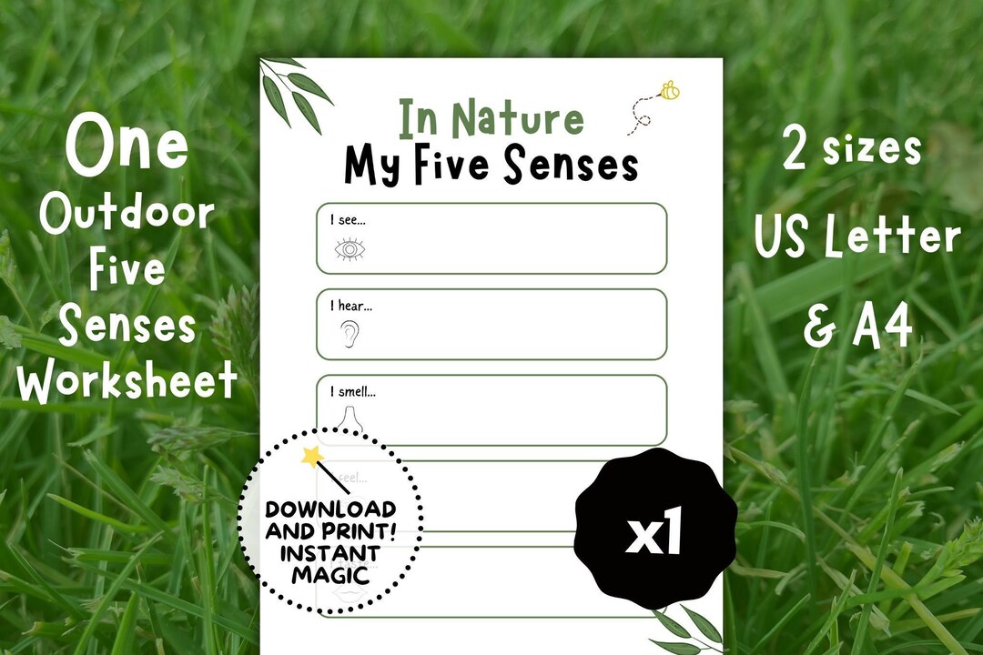 Printable 5 Senses Activity Sheet | Nature Observation for Kids ...