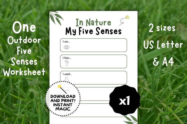 Printable 5 Senses Activity Sheet Nature Observation for Kids Outdoor ...