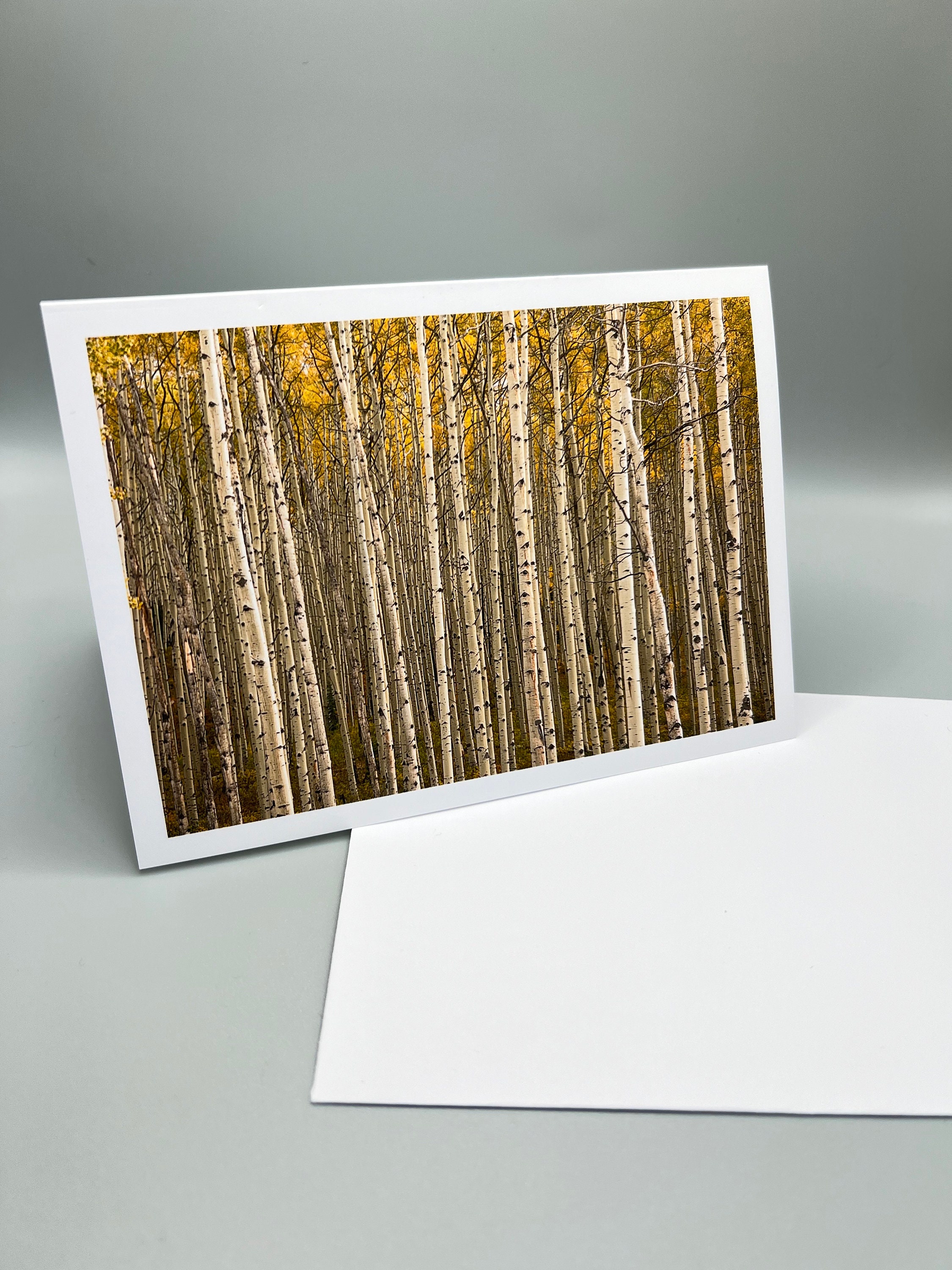Faboulous Fall Collection, Set of 4 Photo Note Cards, Landscape Photo ...