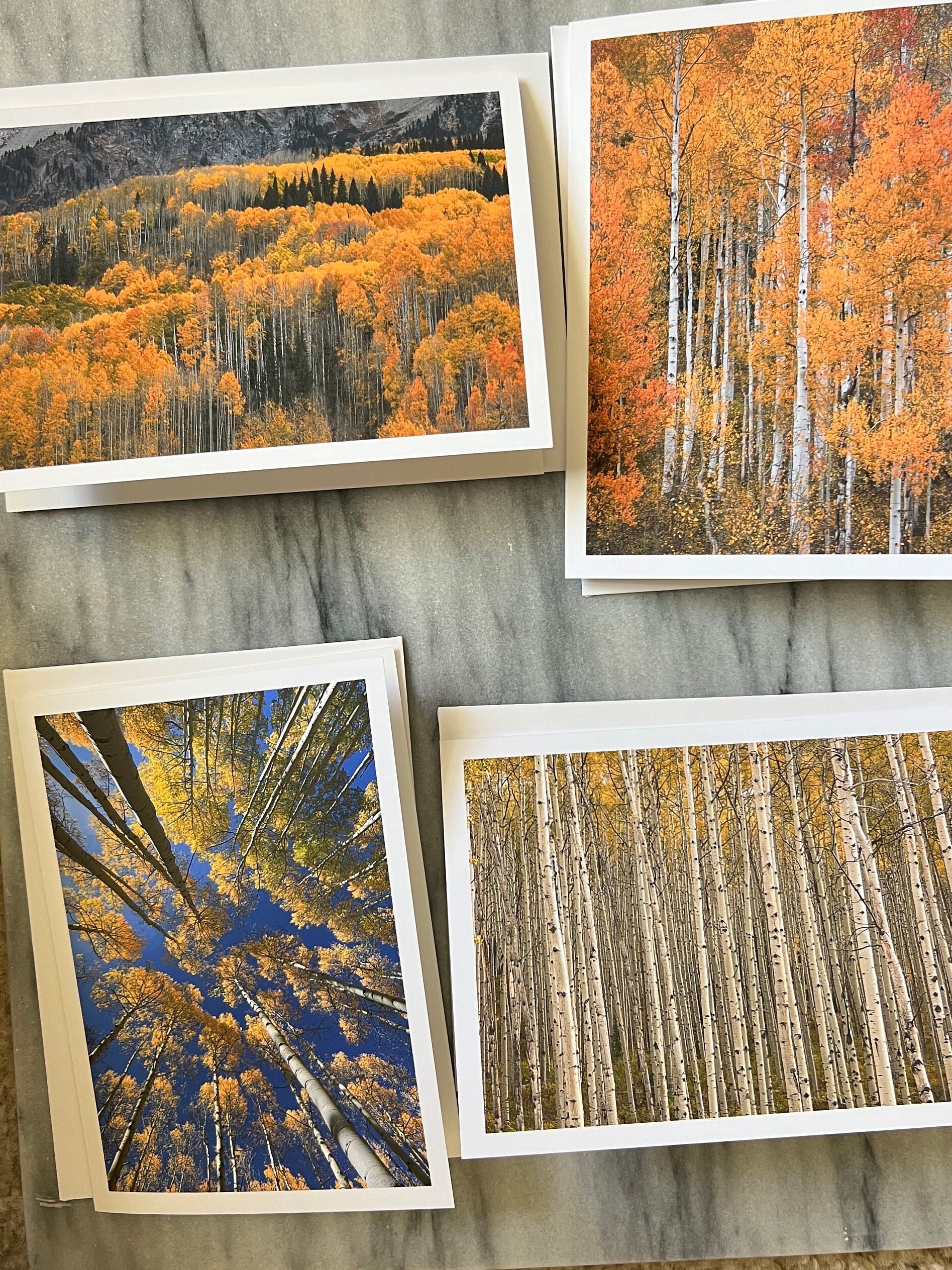 Faboulous Fall Collection, Set Of 4 Photo Note Cards, Landscape Photo