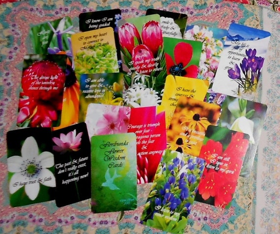Floribunda Flower Wisdom Cards 52 card deck by Lynn Boyle. | Etsy