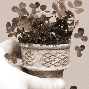 Sienna Lenormand Fortune Telling Oracle Cards by Lynn Boyle. Brand New ...