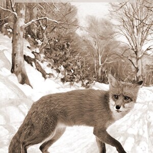 Sienna Lenormand Fortune Telling Oracle Cards by Lynn Boyle. Brand New ...