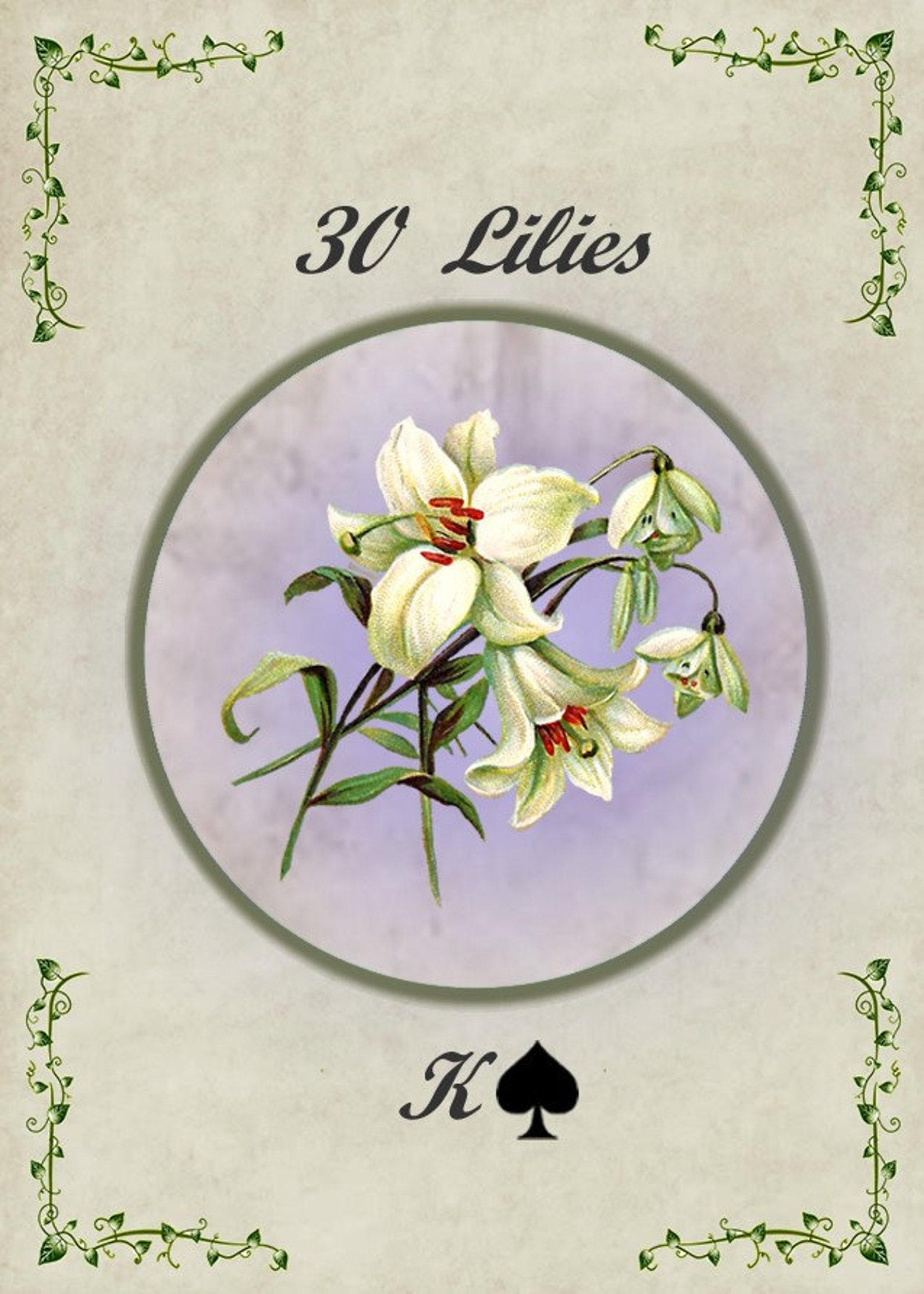 Evergreen Lenormand Fortune Telling Oracle Cards. Brand New. Self ...