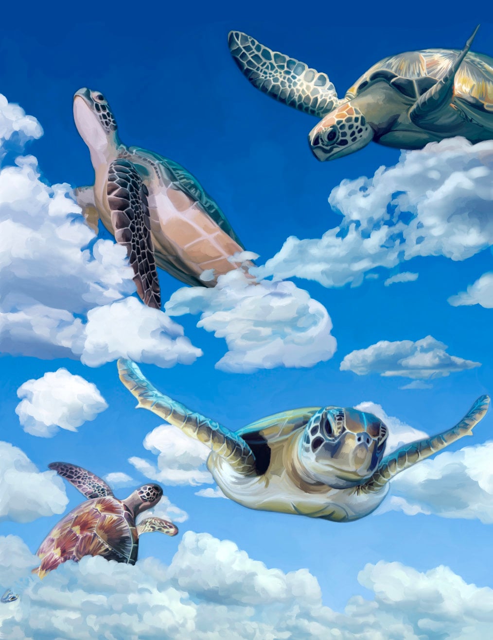 Sea Turtles in the Sky - Etsy