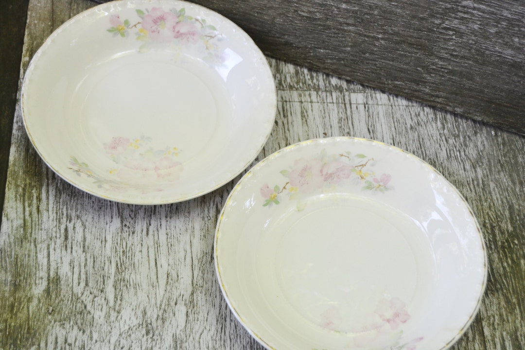 Crooksville Pottery Set of Two Bowls With Pink Dogwood Lagrande by ...