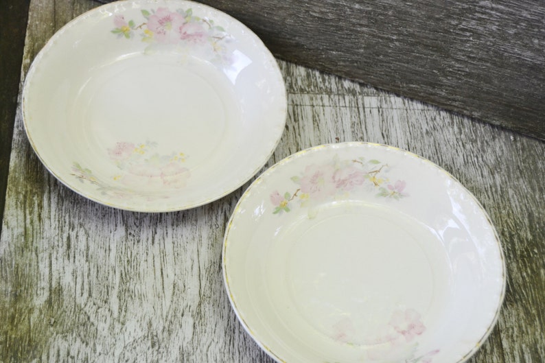 Crooksville Pottery Set of Two Bowls With Pink Dogwood Lagrande by ...
