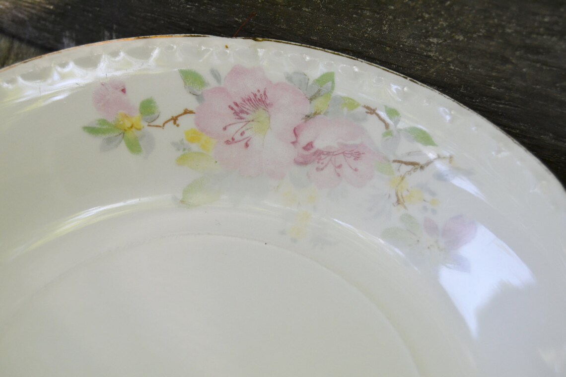 Crooksville Pottery Set of Two Bowls With Pink Dogwood Lagrande by ...