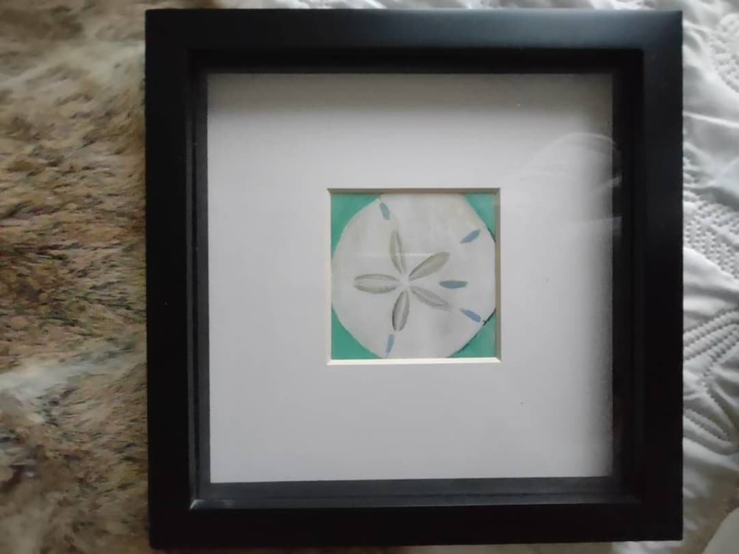Sand Dollar Seashell Picture Wall Art - Etsy