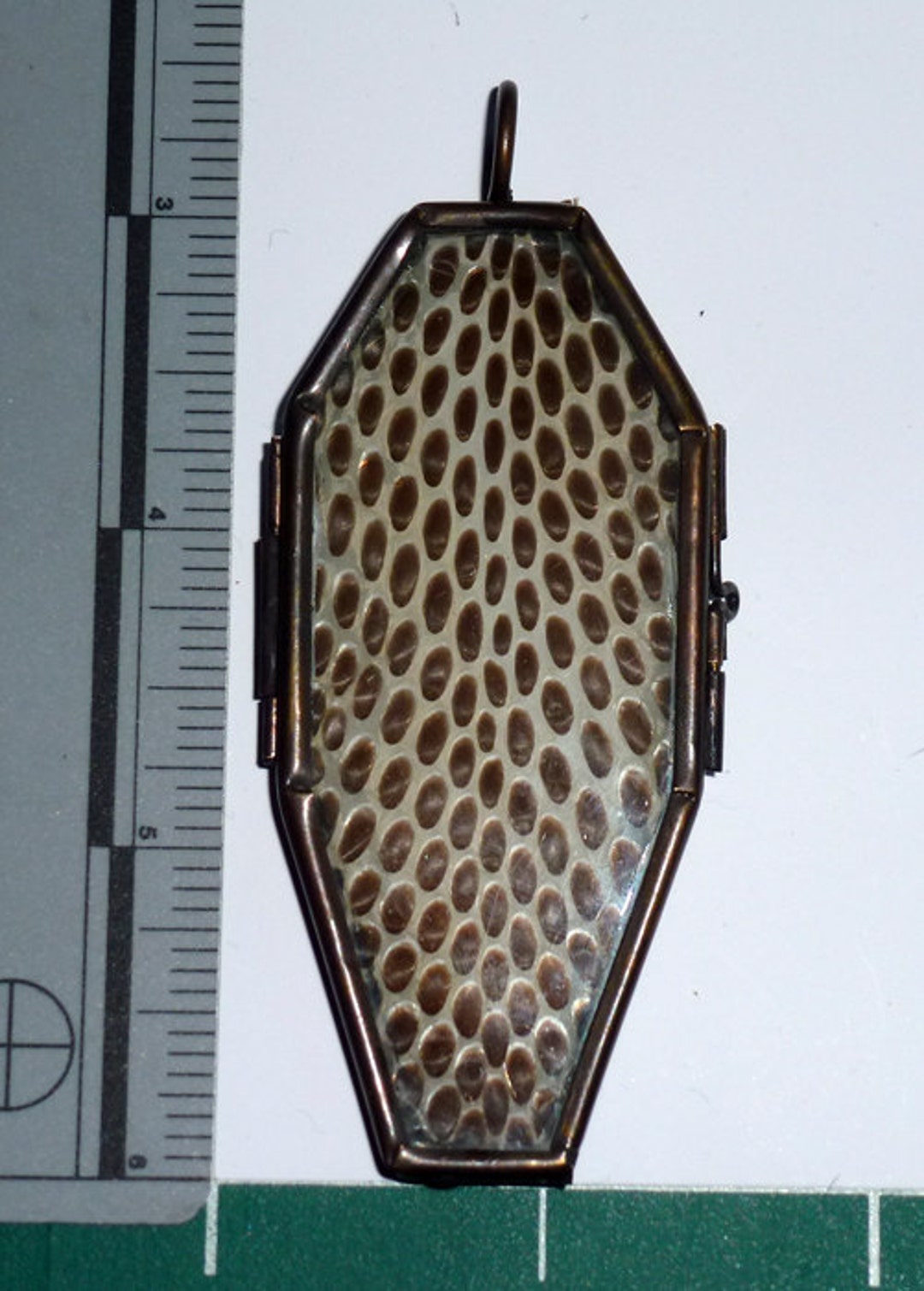 Snake Skin in a Coffin Shaped Shadow Box Pendant 22 - Etsy