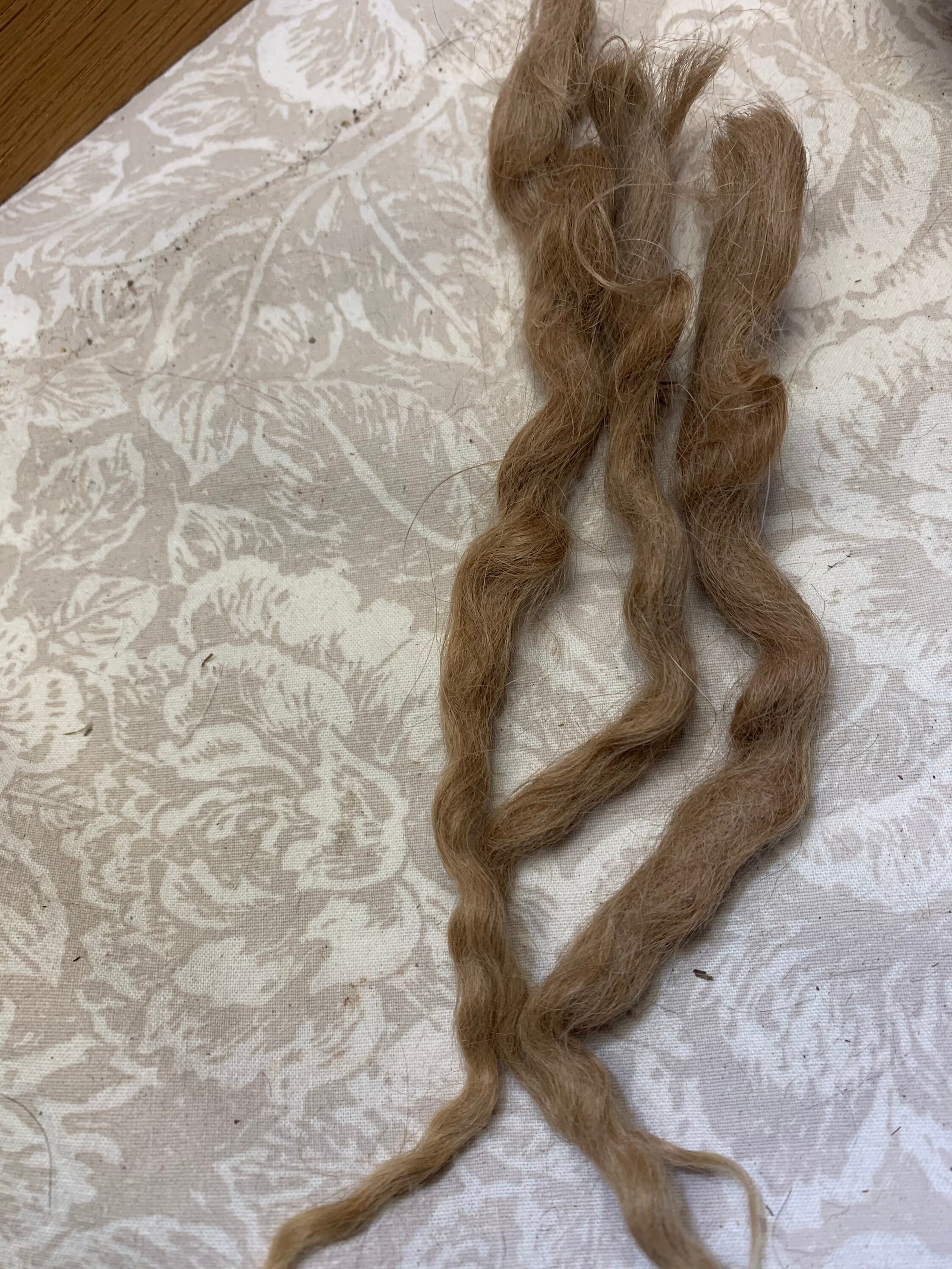 Suri Llama Locks , Unwashed, White and Medium Fawn, 6-10 Staple Length ...