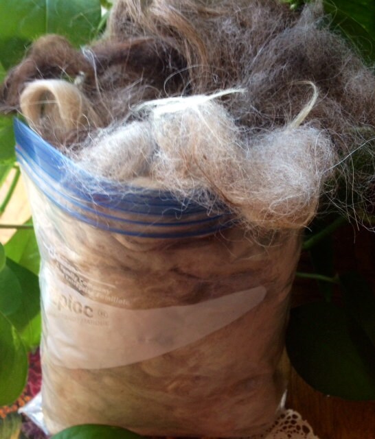 Bird Nesting Filler Alpaca Fiber Llama Fiber Bird Eco - Etsy