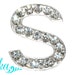 Letter S Rhinestone Choose Quantity Rhinestone Letters Flatback ...