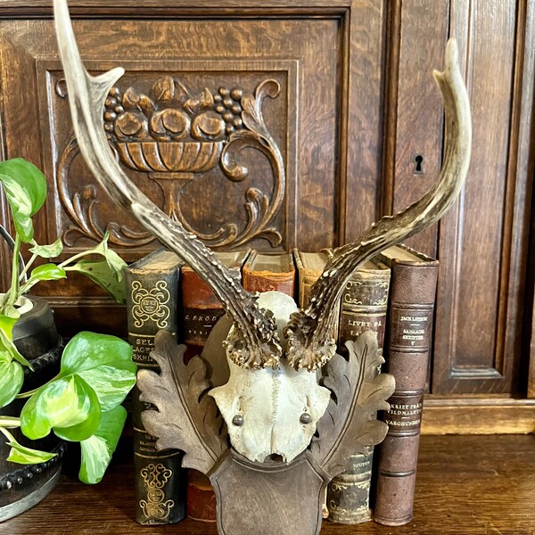 Wood Plaque Trophy Mount - Etsy