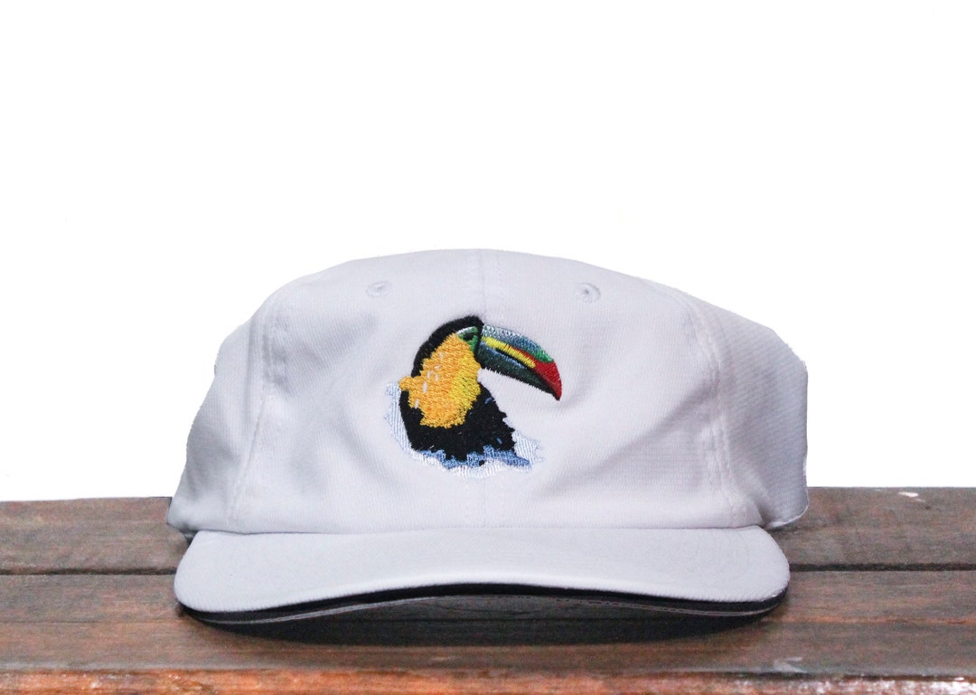 Vintage Naples Zoo Toucan Exotic Tropical Birds Animals Wildlife ...