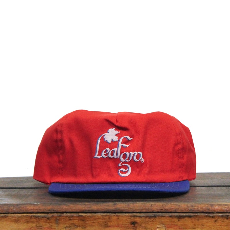 Vegetable Hat - Etsy