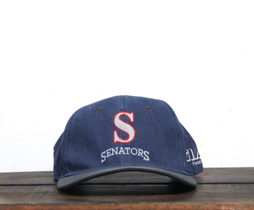 Vintage Washed Out 90s Harrisburg Senators Minor League MILB ...