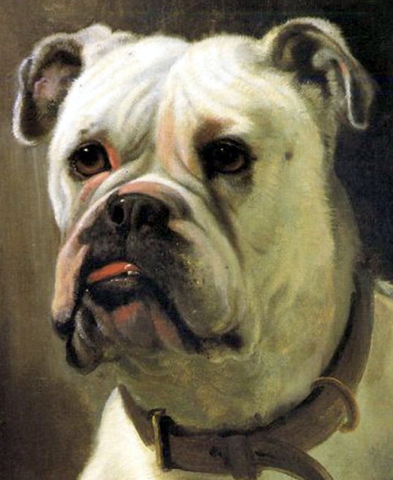 George Earl Michael the Archangel 1870 Champion English - Etsy