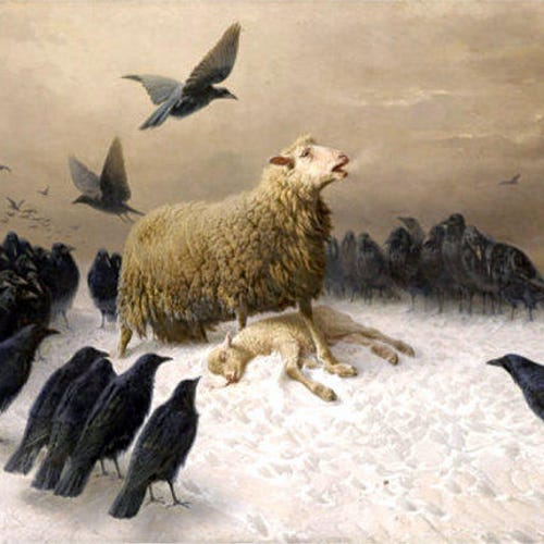 August Friedrich Schenck Anguish 1880 Sheep Lamb Death - Etsy
