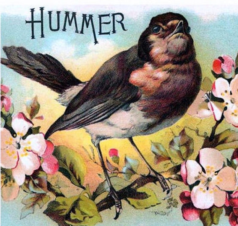 Vintage Ciger Label, Hummer Brand, Advertisement, Bird, Flowers ...