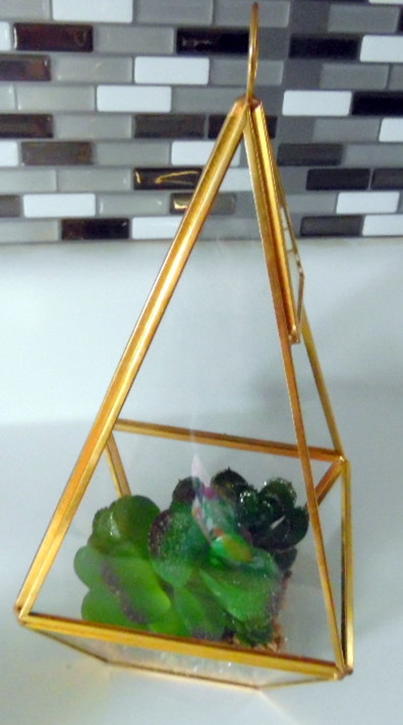 Leaded glass Tipe Teepee style dresser box terrarium | Etsy