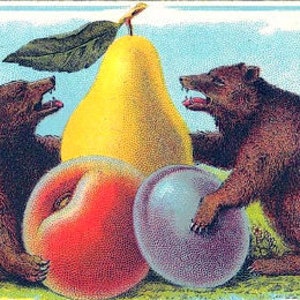 Bears Eating Fruit, Crate Label, Home Preserving Company, Antique Crate ...