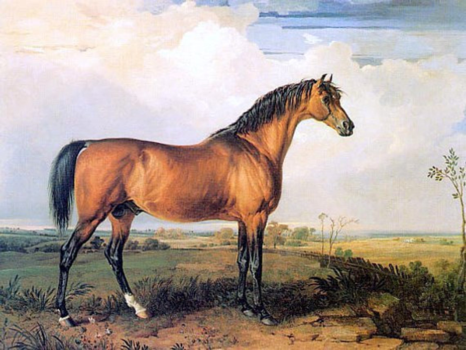 1809 Eagle Horse Farm Painting by James Ward, Antique Equine Art Prints ...