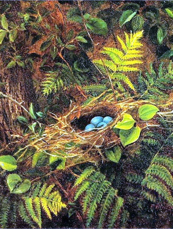 Still Life Robins Nest by Fidelia Bridges Antique Nature - Etsy