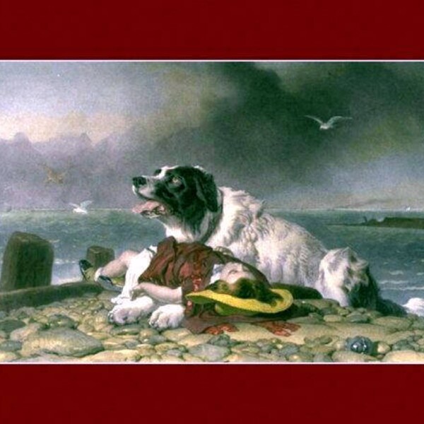 Newfoundland Dog - Etsy