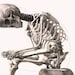 Skeleton Sitting, the Thinker, Antique Goth Art, Skeleton, 1867 Bones ...