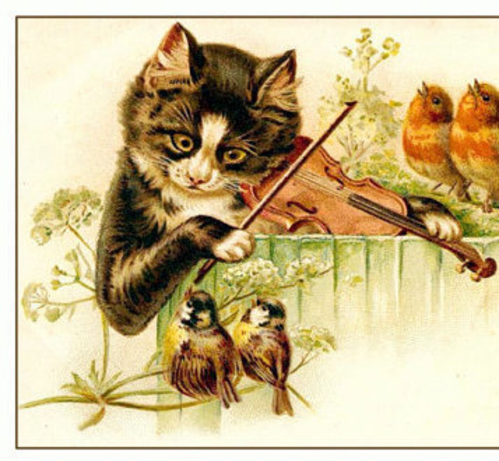 Cat Plays Violin Birds Chorus, Choir 8x10" Premium Poster Print Antique ...