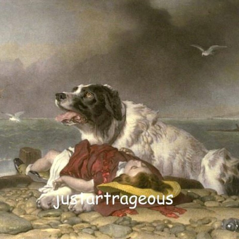 Drowning of a Dog - Etsy