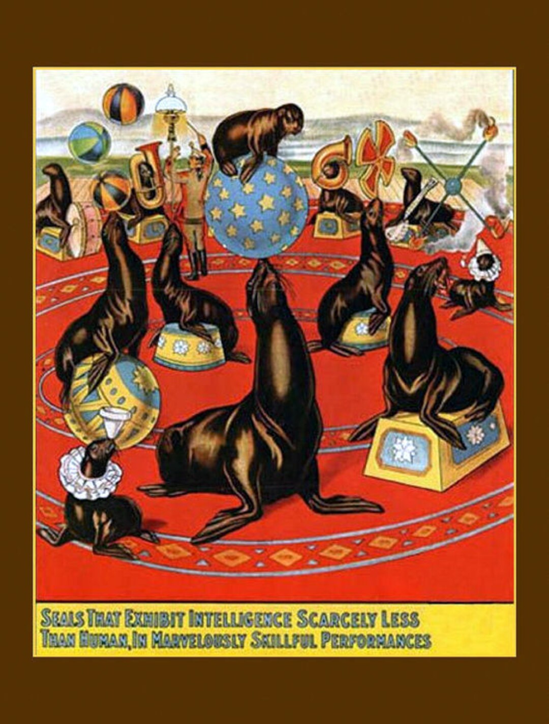 Circus Animals, Seals, Exhibit, Performance Posters, Seal Show, Circus ...