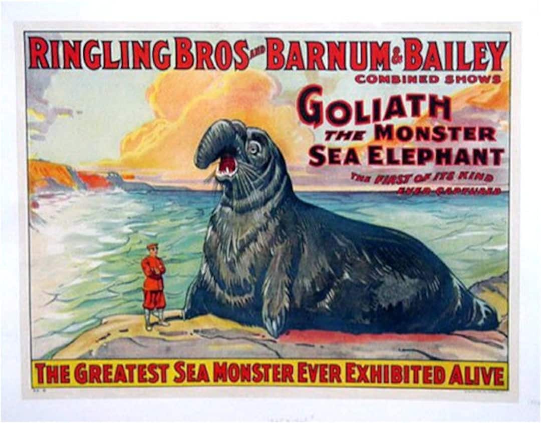 Ringling Bros. and Barnum & Bailey Circus -goliath the Sea Elephant ...