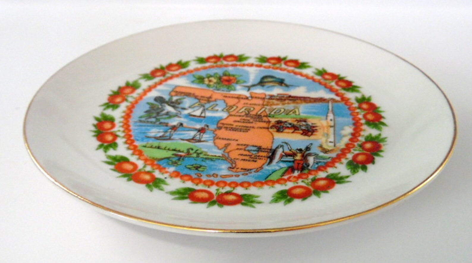 Florida Picture Souvenir Plate Vintage Souvenir Plate. Shiny - Etsy
