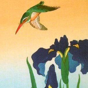 Vintage, Asian, Hummingbird, Blue Iris, Flora, Birds, Antique Floral ...
