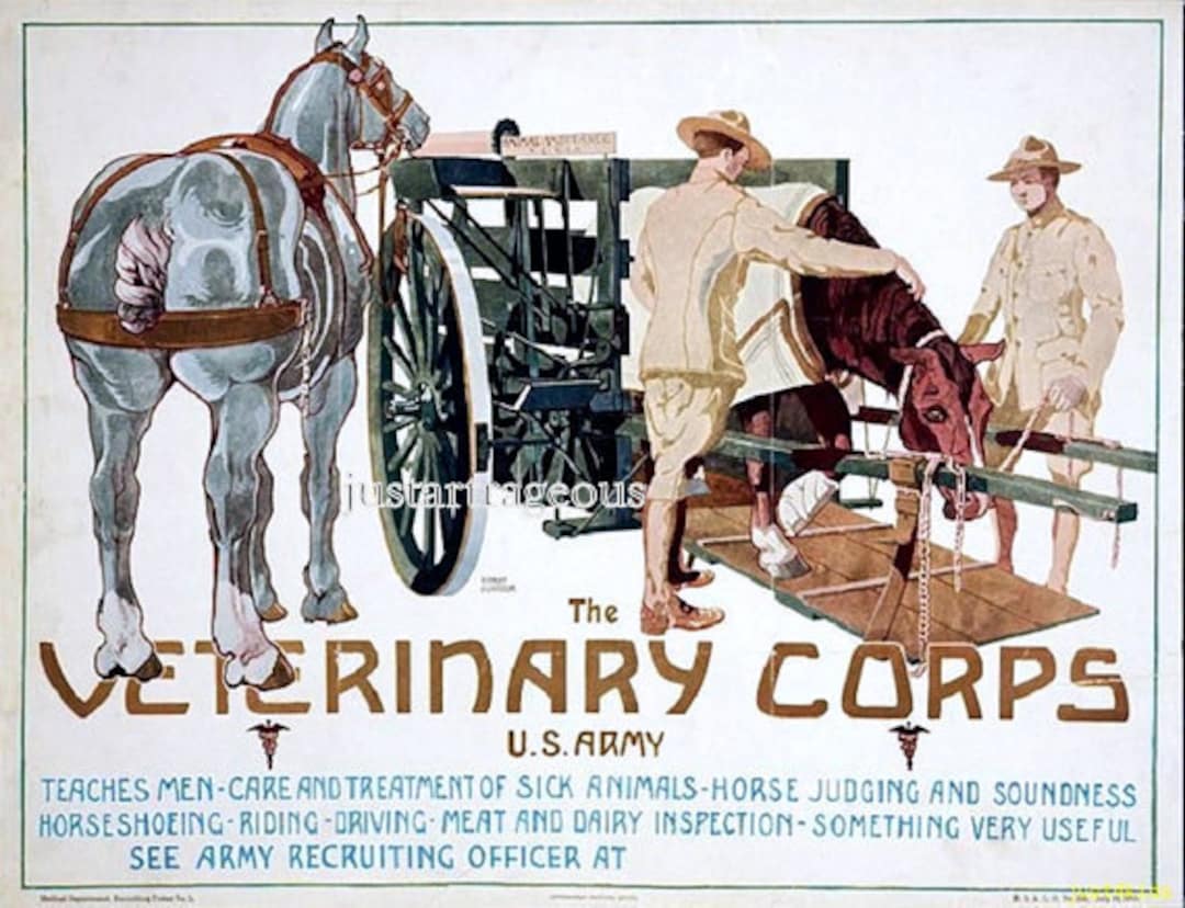 WWII Veterinary Corps, US Army, Recruitment, Horses, Animal Art, Horse ...