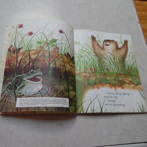 A Home for a Bunny, a Little Golden Book Bymargaret Wise Brown. 1956-61 ...