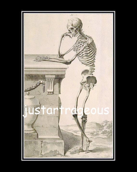 Skeleton Leaning Against a Tomb Antique Print Skull Day of | Etsy