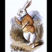 1890, John Tenniel, the White Rabbit, Alice in Wonderland, Antique ...