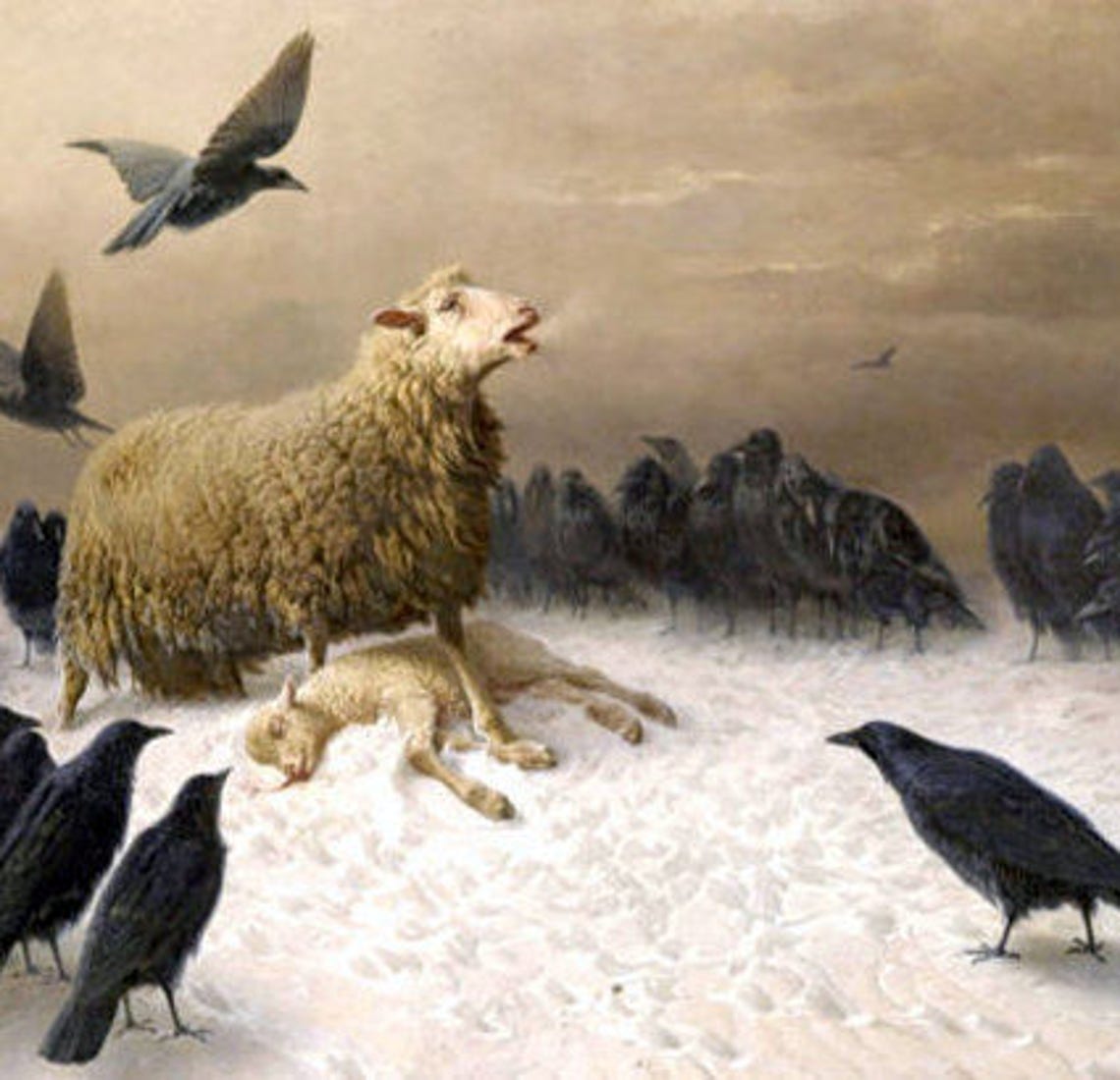 August Friedrich Schenck Anguish 1880 Sheep Lamb Death | Etsy