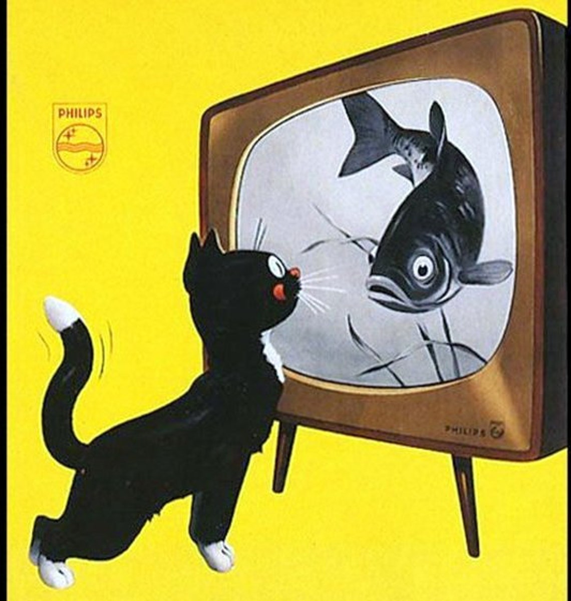 Kitten Watching Fish Phillips TV Ad 8x10 Canvas Print. Cats - Etsy