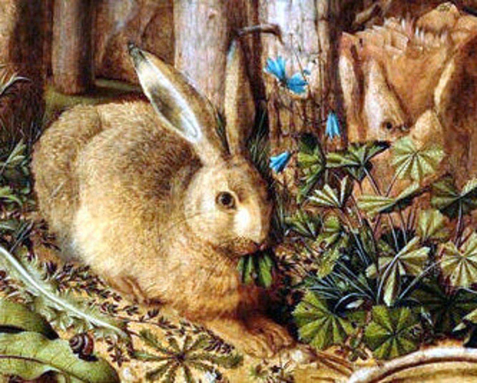 Hans_hoffmann-german-a Hare in the Forest-1585, Wildlife Art, Rabbits ...