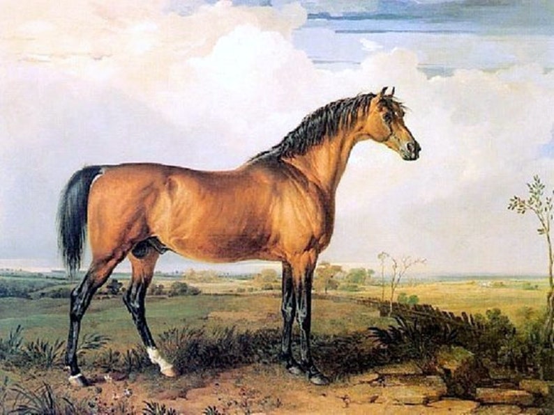 Brown Horse George Stubbs Landscape Animals I Art Horses | Etsy