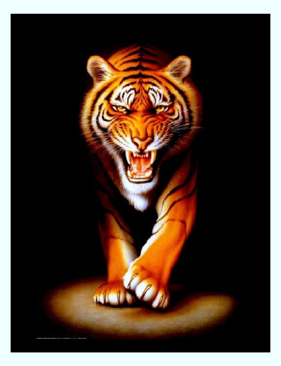 Drawing & Drafting Big Cat Tiger Coloring Book Canvas 8x10 DIY Paint ...