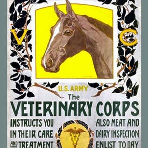 WWII Veterinary Corps, US Army, Recruitment, Horses, Animals, Equine ...