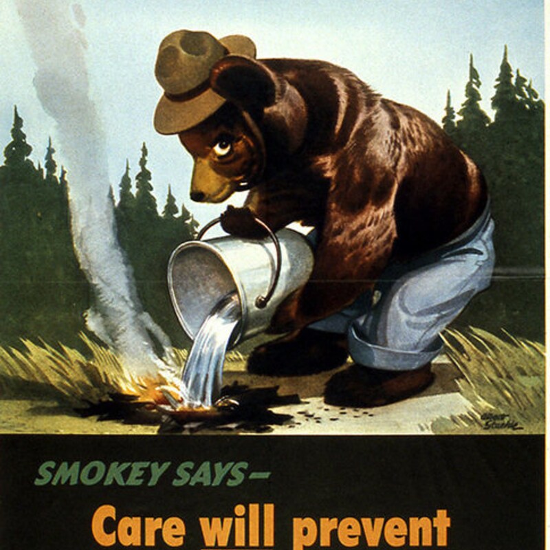 Smokey Bear Poster - Etsy
