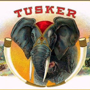 Elephant Art, Vintage Cigar Label, Tusker Cigars, Animals Pachyderm ...