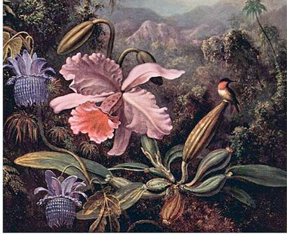 Martin Johnson Heade-woodland, Floral Landscapes, Lanscape Prints ...